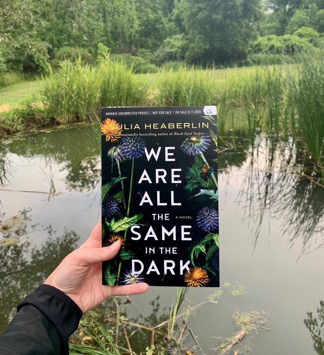 Book Review: We Are All the Same in the Dark by Julia Heaberlin ...